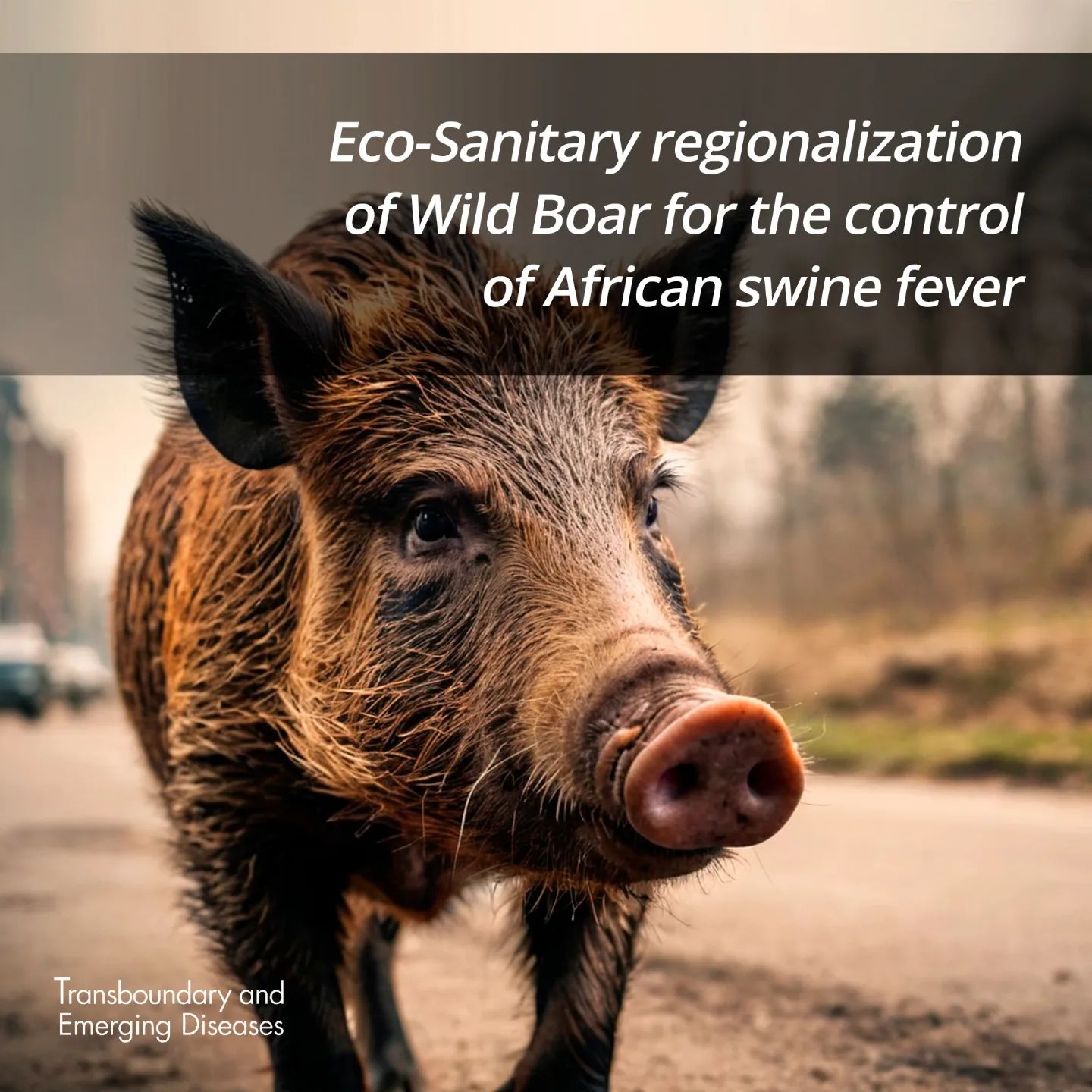 Eco-Sanitary Regionalization of Wild Boar (Sus scrofa) in the Western ...