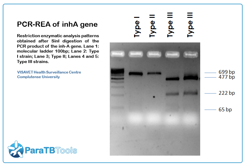 ParaTBTools | Research | Molecular Biology